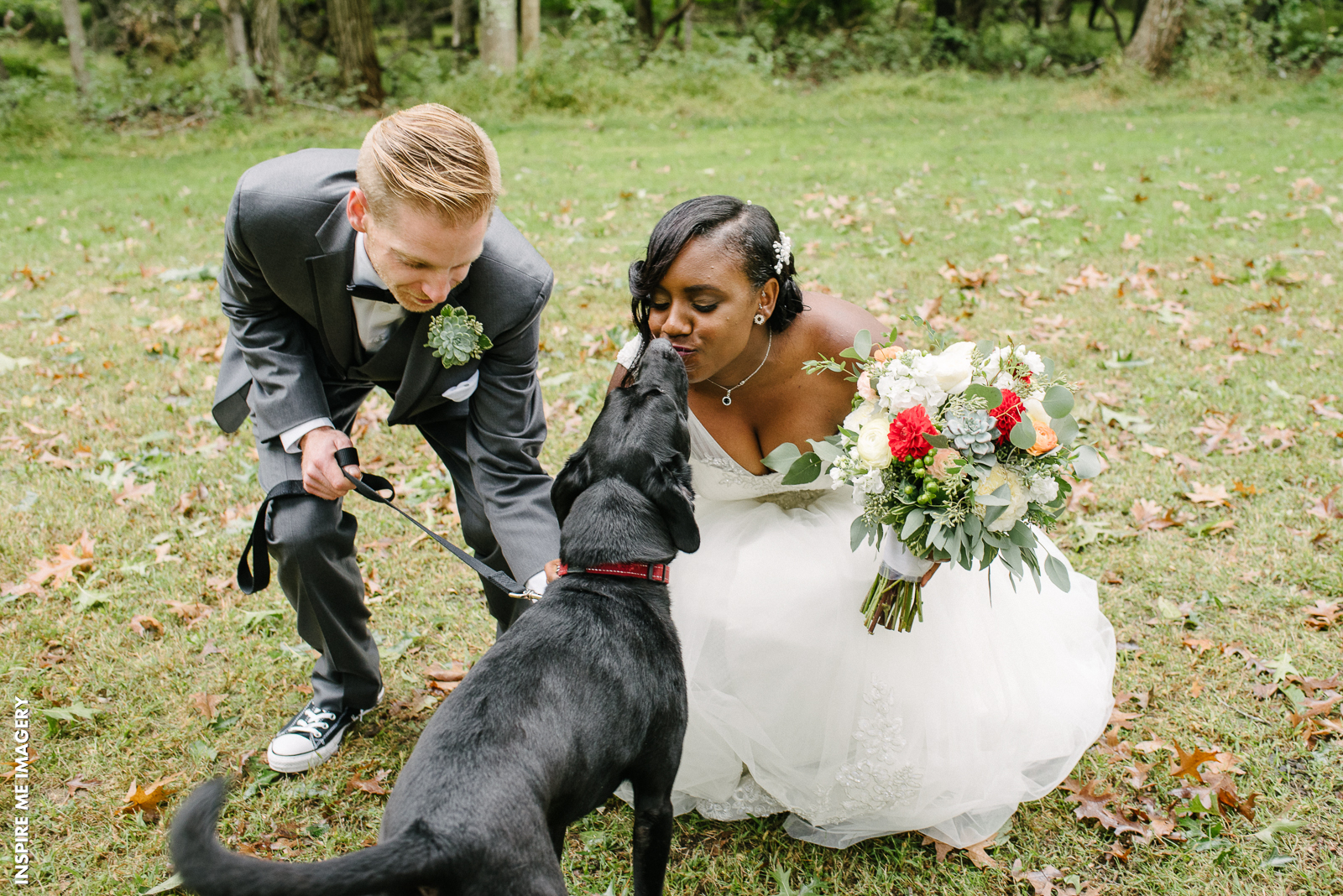 Cute Ways to Add A Pet in the Wedding Day - Wed Blog by Hotels Unlimited