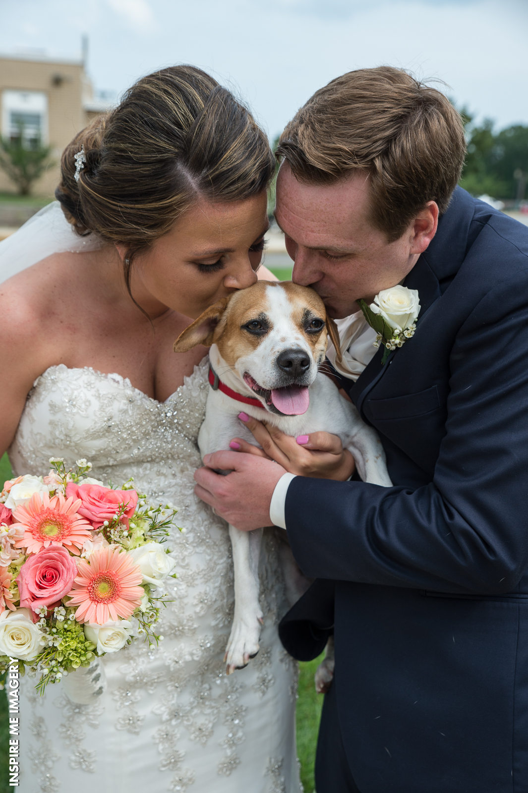 Cute Ways to Add A Pet in the Wedding Day - Wed Blog by Hotels Unlimited